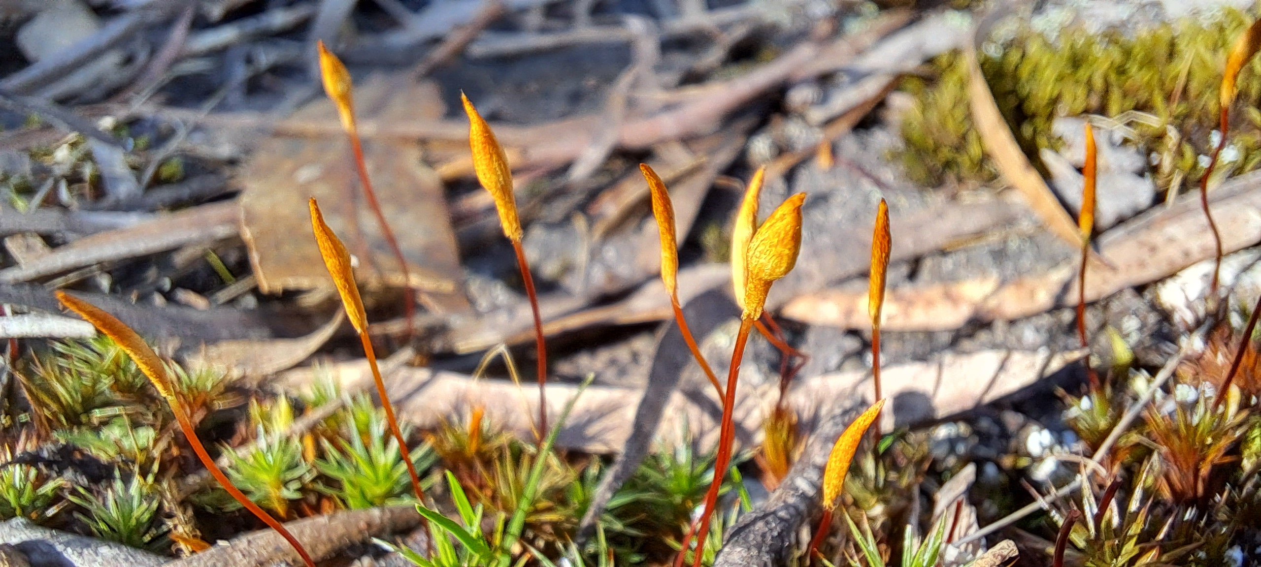 Liminal spaces | Count the stars of heaven